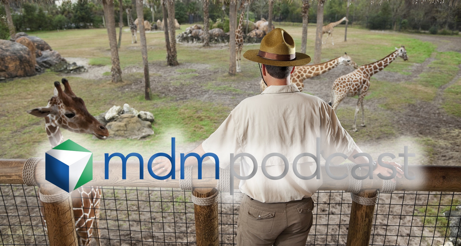 MDM Podcast: Be the Steve Irwin of Distribution and Rethink Team Dynamics - Modern Distribution ...